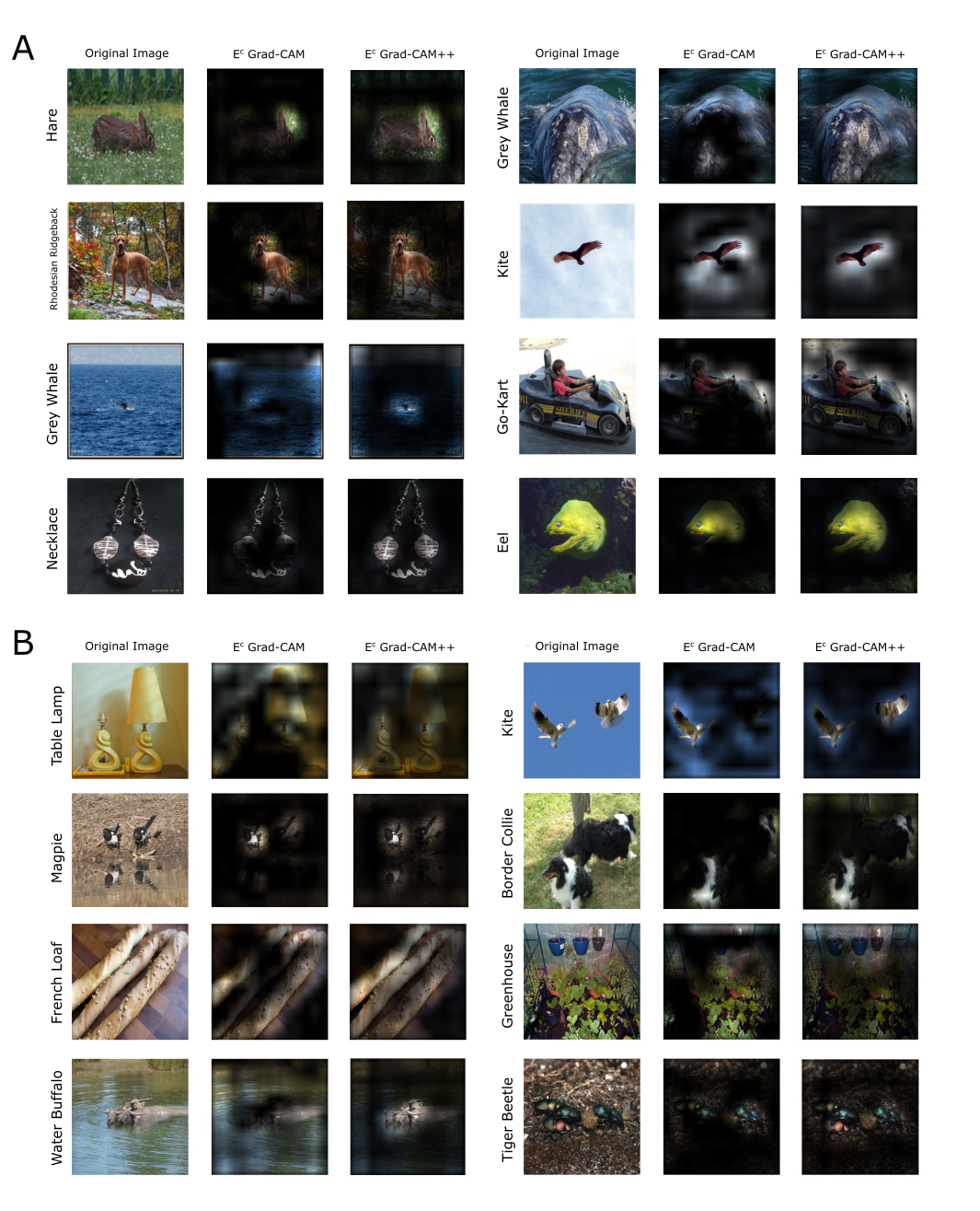 Grad-CAM++: Generalized Gradient-based Visual Explanations for Deep Convolutional Networks