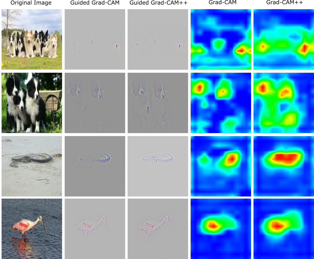 Grad-CAM++: Generalized Gradient-based Visual Explanations for Deep ...